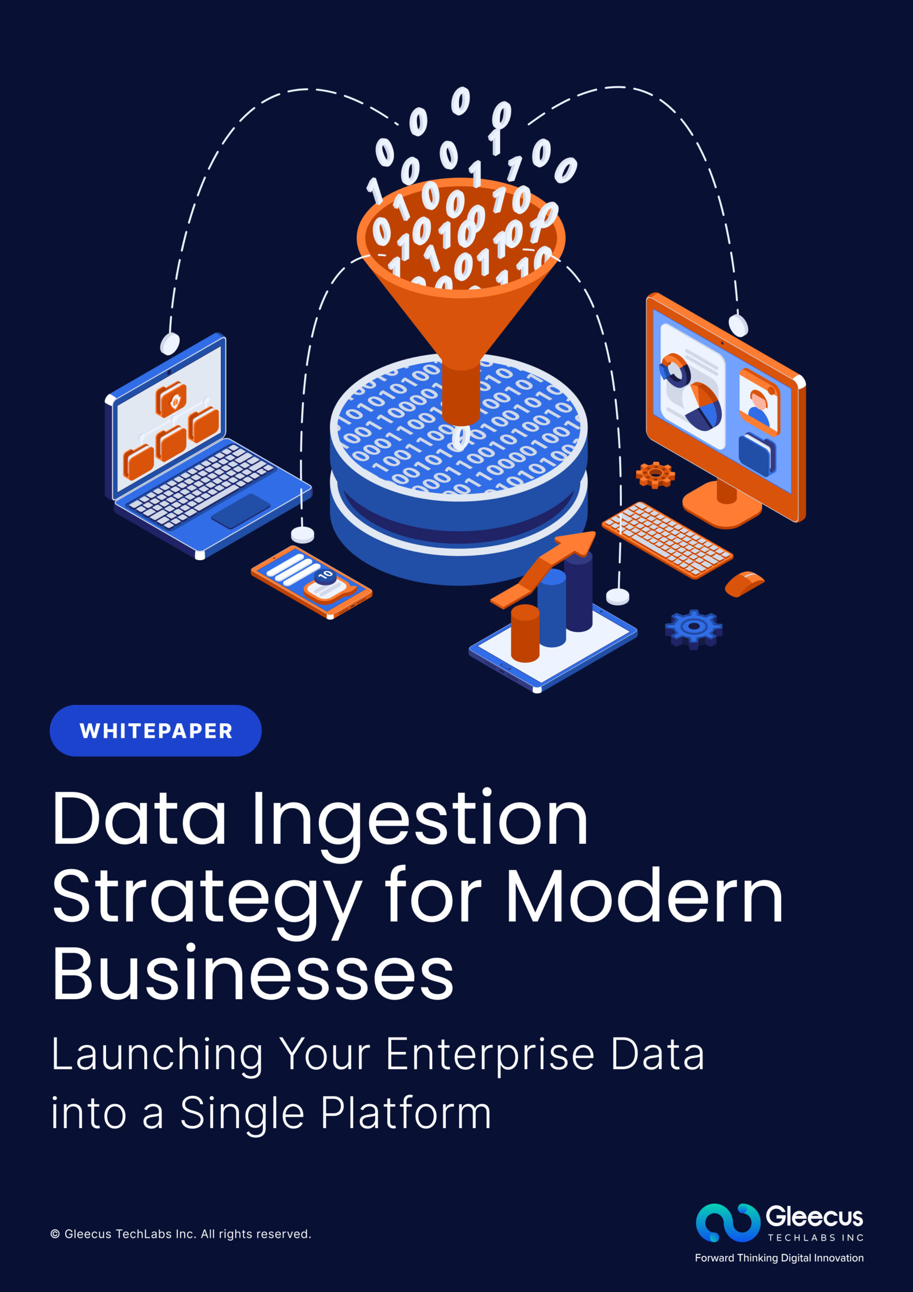Data Ingestion Strategy - Whitepaper